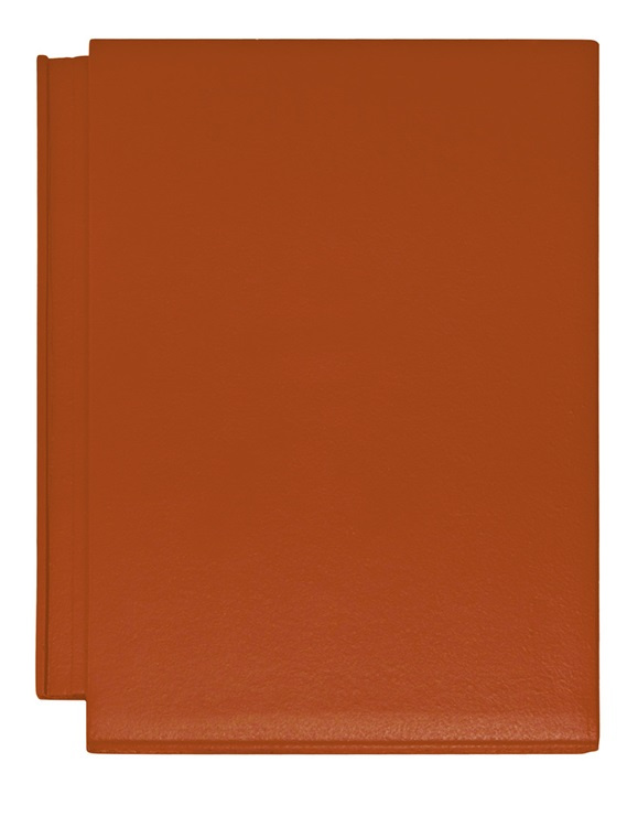 Braas Tegalit Aerlox Protegon matt - Betondachsteine - Leinweber ...